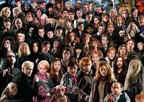 Ravensburger Challenge Puzzle: Harry Potter / 1000 dílků / od 14 let