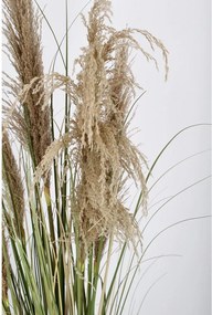 Umělá rostlina (výška 145 cm) Austorderia – Bizzotto