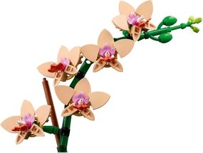 LEGO® Botanicals 10343 Miniaturní orchidej