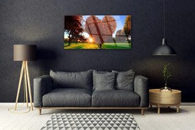 Obraz na skle Strom Srdce Přírdoa 100x50 cm