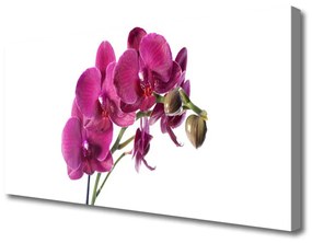 Obraz na plátně Orchidej Květiny Příroda 140x70 cm