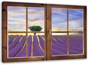 Obraz na plátně Pohled z okna Levandulové pole - 120x80 cm
