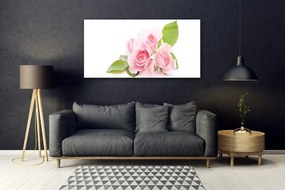 Plexisklo-obraz Růže Květiny Příroda 120x60 cm