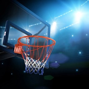 Costway Nástěnný basketbalový koš Profesionální