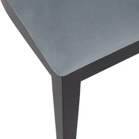 Dřevěná židle se stříbrným sedákem ERIN