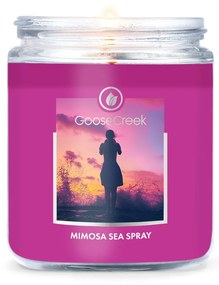 Goose Creek Candle svíčka Mimosa Sea Spray, 198 g