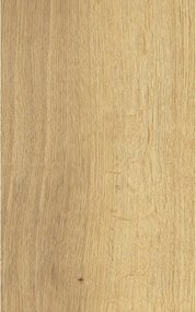 Obklad CCR160-1 Wood 25 x 40 cm