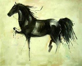 Černý kůň - 50 x 60 cm