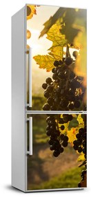 Wallmuralia Nálepka na ledničku Příroda vinice 60x180 cm