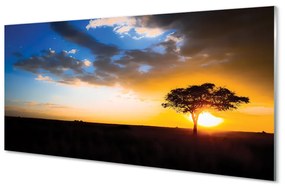 Obraz na skle mraky strom 125x50 cm