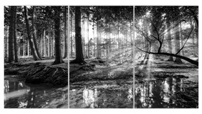 Malvis ® Obraz černobílá pohoda lesa Velikost: třídílný obdélník - 150x100 cm