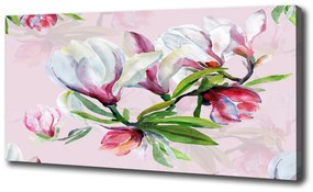 Wallmuralia Foto obraz tištěný na plátně Květiny magnolie 100x50