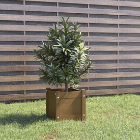 Zahradní truhlík medově hnědý 31 x 31 x 31 cm masivní borovice - Default Title