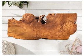 Massive home | Odkládací stolek WILD 100 CM masiv teak