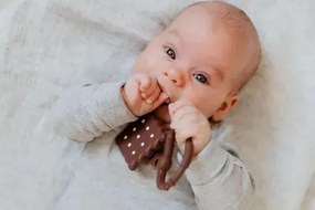 BABYTED Chrastítko Keksík / Silikon / 0m+