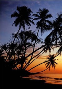 Papermoon Čtyřdílná fototapeta Sunset beach, 183x254 cm, skladem poslední 2 ks!!!