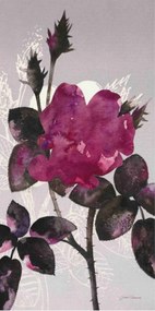 ART-STYLE Obrázek 25x50, růže, rám bílý s patinou