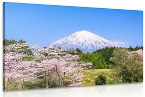 Obraz sopka Fuji - 120x80 cm