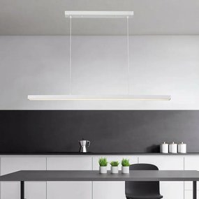 Brilagi - LED Lustr na lanku PPAXIS LED/30W/230V 120 cm bílá
