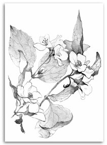 Gario Obraz na plátně Kvetoucí větvičky Rozměry: 40 x 60 cm