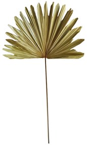 Hnědý usušený dekorativní list Palmy - 130 cm