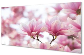 Obraz na skle magnolie strom 125x50 cm