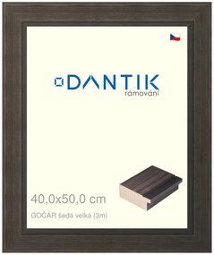 DANTIK rámeček 40x50 | Gočár šedá velká (Plexi Čiré)