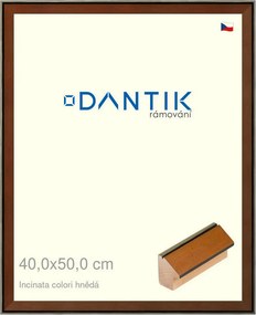 DANTIK rámeček 40x50 | INCLINATA colori hnědá (Plexi Čiré)