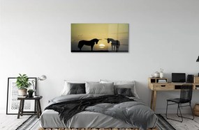 akrylový obraz Polní sunset jednorožci 100x50 cm