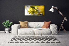 Obraz na plátně Listy Rostlina 120x60 cm