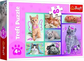 Puzzle Roztomilé kočky