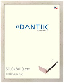 DANTIK rámeček 60x80 | RETRO bílá (Plexi Čiré)