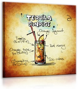 Malvis ® Obraz cedule Tequila Sunrise Velikost (šířka x výška): 40x40 cm