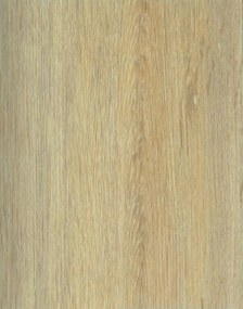 Vinylová podlaha Dub Arizona Rustic - struktura dřeva - ML00048AKT
