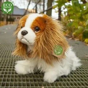RAPPA Plyšový pes king charles španěl 25 cm / ECO-FRIENDLY / od 0 měsí