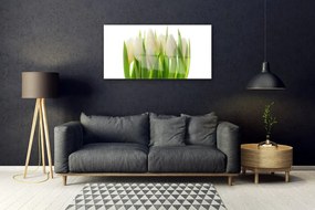 Obraz na skle Tulipány Rostlina Příroda 125x50 cm