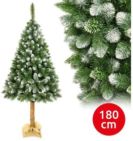 Elma | Vánoční stromek na kmenu 180 cm borovice | EA0006