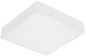 Emithor 63217 - LED Stropní svítidlo SURFACE 1xLED/20W/230V