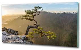 Wallmuralia Foto obraz skleněný horizontální Sokolice Pieniny 100x50