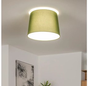 Brilagi - LED Přisazený lustr CERIA 1xE27/40W/230V pr. 30 cm zelená