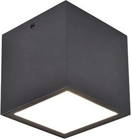 LUTEC LED stropní svítidlo GEMINI tm. šedé 6,9W 750lm 4000K IP65 85x85x85mm