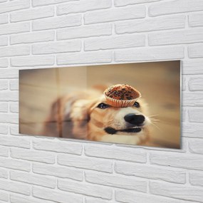 akrylový obraz dog bun 120x60 cm