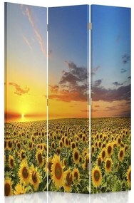 Ozdobný paraván, Krajina se slunečnicemi - 110x170 cm, třídílný, obustranný paraván 360°
