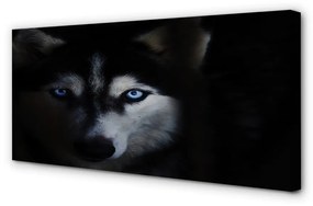 Obrazy na plátně wolf Eyes 140x70 cm