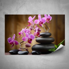 Plakát - Orchidej na kamenech (60x40 cm) - PopyDesign