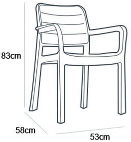 ALLIBERT TISARA Zahradní židle, 53 x 58 x 83 cm, grafit 17199557