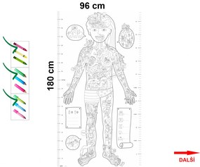OMY DESIGN-PLAY, Dětské obrazy a plakáty na vymalování, Lidské tělo, 96x180cm