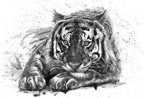 Samolepící tapeta černobílý predátor zvířat - 300x200 cm