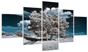 Obraz sněhobílého stromu (125x70 cm)