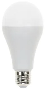 ACA DECOR SMD LED žárovka A65 Pro E27 17W
